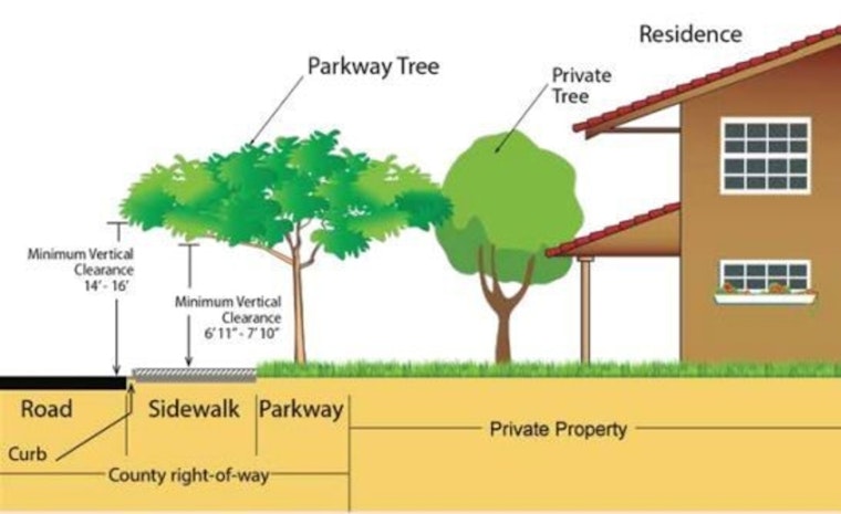 Los Angeles County Offers Free Parkway Tree Planting to Beautify