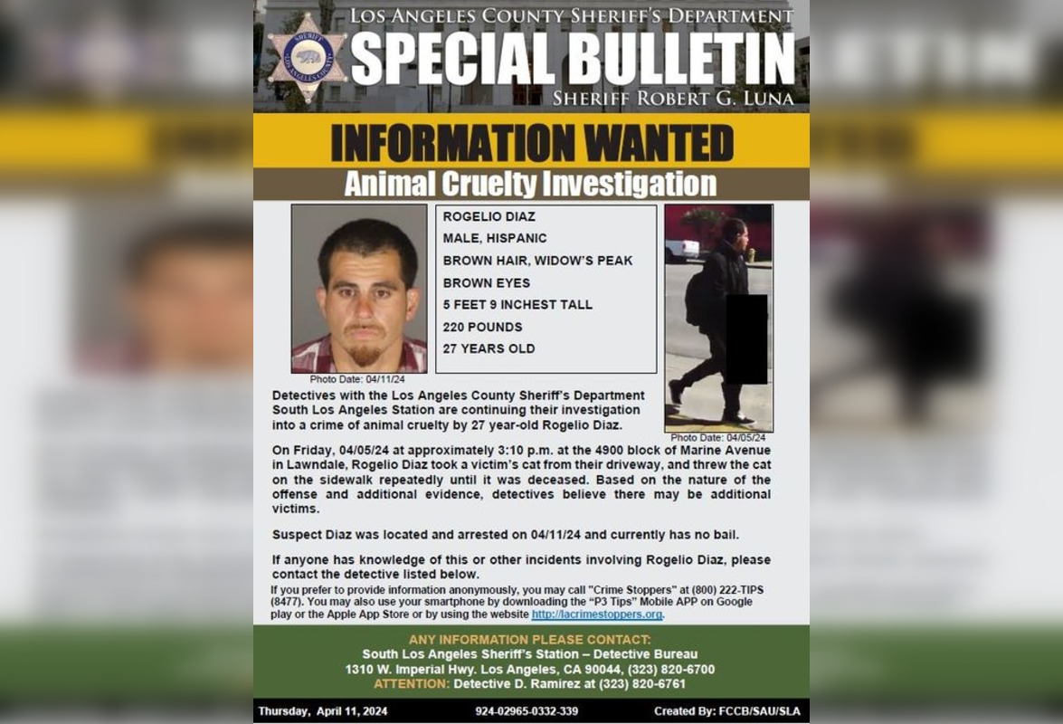 Los Angeles Man Accused of Fatally Abusing Cat, LASD Seeks Public's
