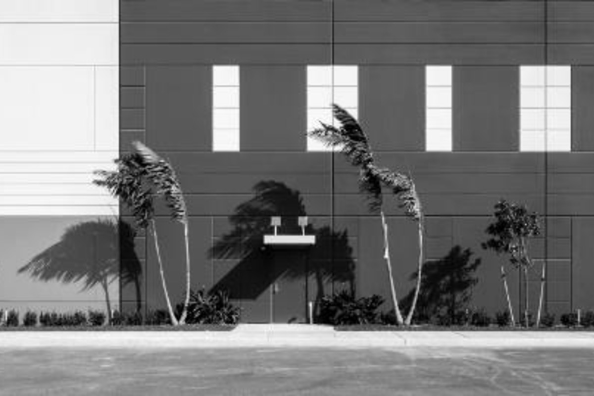 Miami Anticipates Wind-Driven Weekend, Weather Advisories to Ebb Ahead