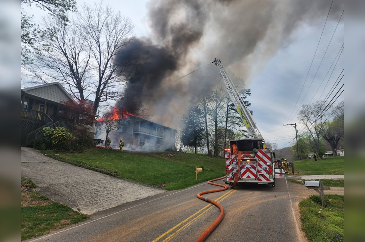 One Person and Two Dogs Die in Wind-Fueled Halls House Fire; Cause