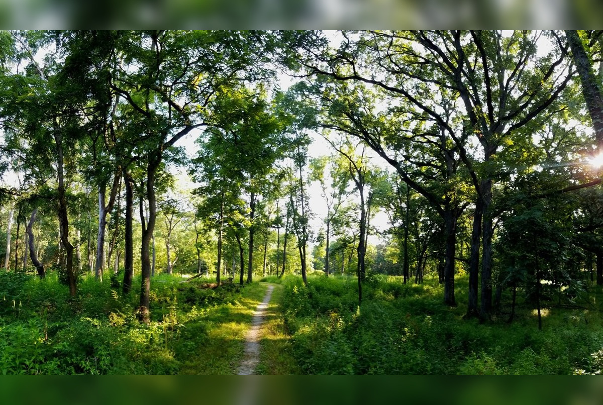 Palos Preserves in Cook County Embark on $10 Million Eco-Friendly
