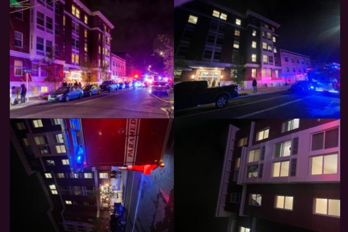 Portland Firefighters Execute Dramatic Rescue Amid Pearl District