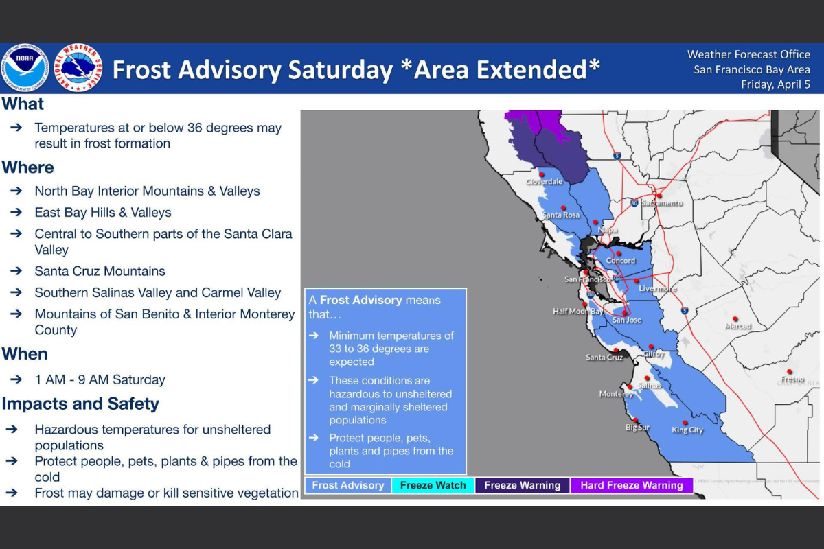 Residents Brace for Freezing Nights as Frost Advisory Issued in