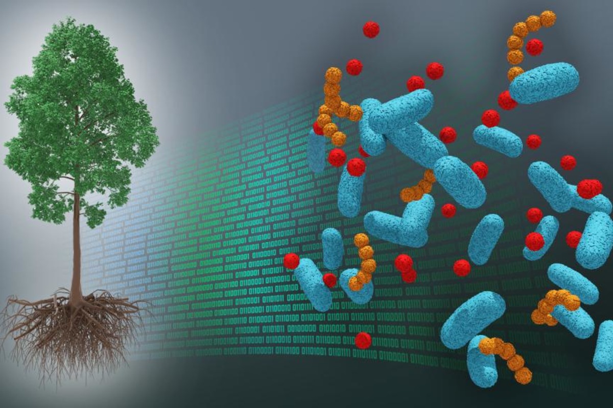 Tree-mendous Breakthrough at Oak Ridge, Mega Database Roots Poplars in