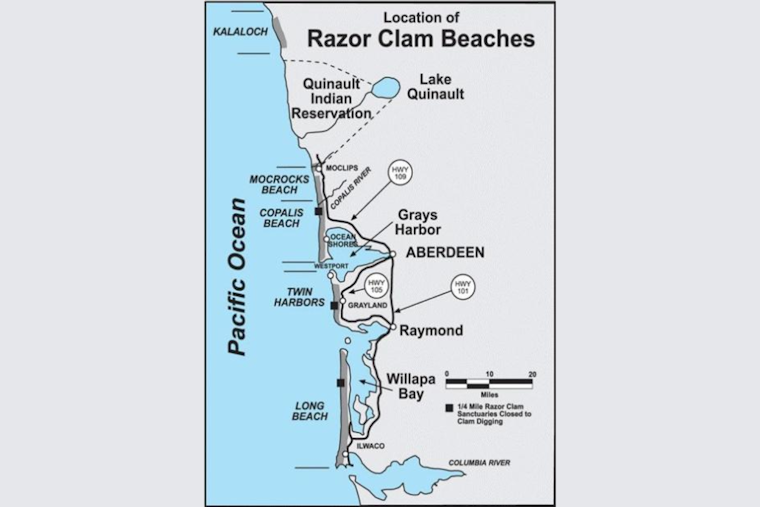 WDFW Announces Upcoming Razor Clam Digs on Washington Coast
