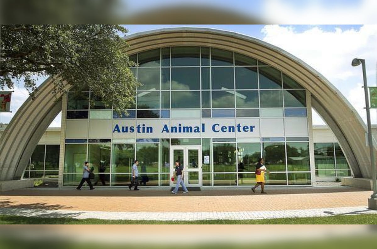 Austin Residents Protest for Leadership Change at Animal Center,