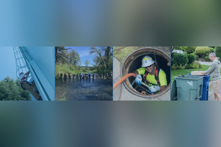 Bellevue Seeks Public Input on 20-Year Watershed Management Plan for