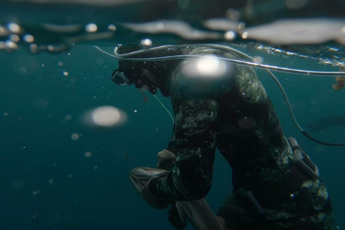 Canadian Man Dies While Spearfishing Near Key West as Investigation