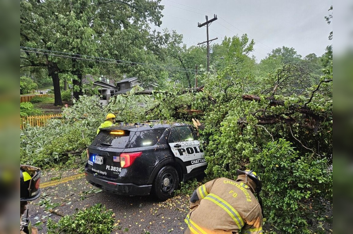 Chattanooga Officer Rescued After Tree Collapses on Patrol Car Amid