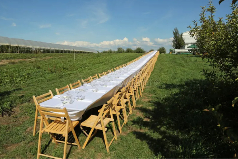 Dallas' Homeless Solutions Office Advances with Initiatives to House