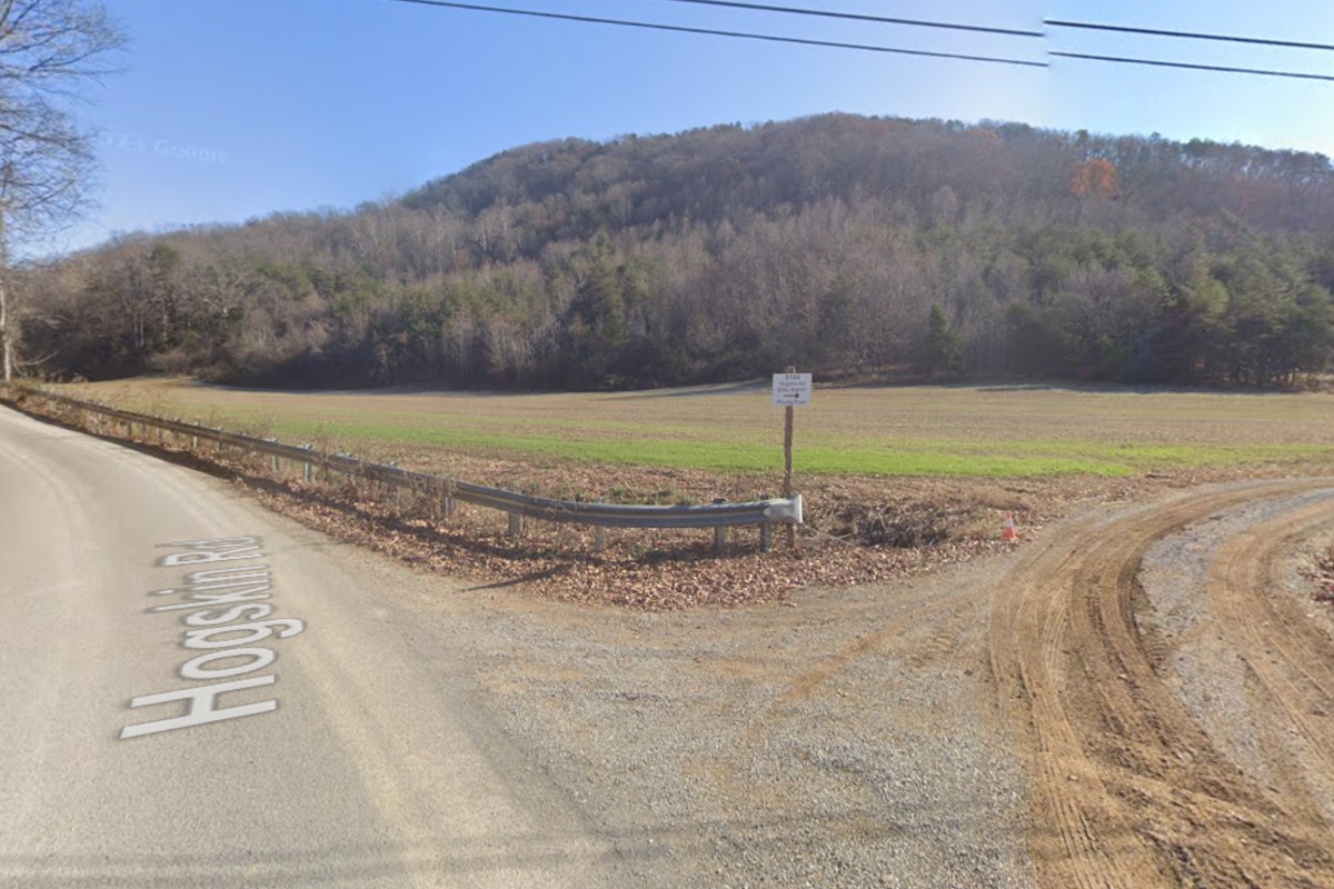 Experience the Synchronized Fireflies of East Tennessee at Molly