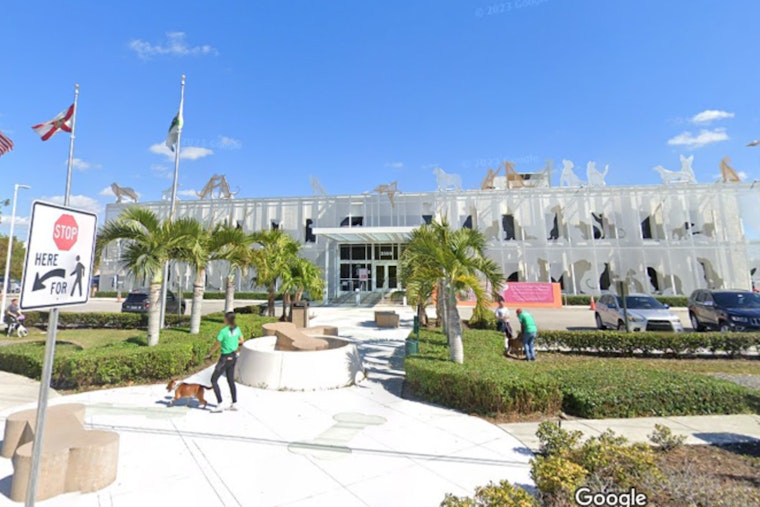 Miami-Dade Animal Services Advises on Pet Heat Safety as Summer