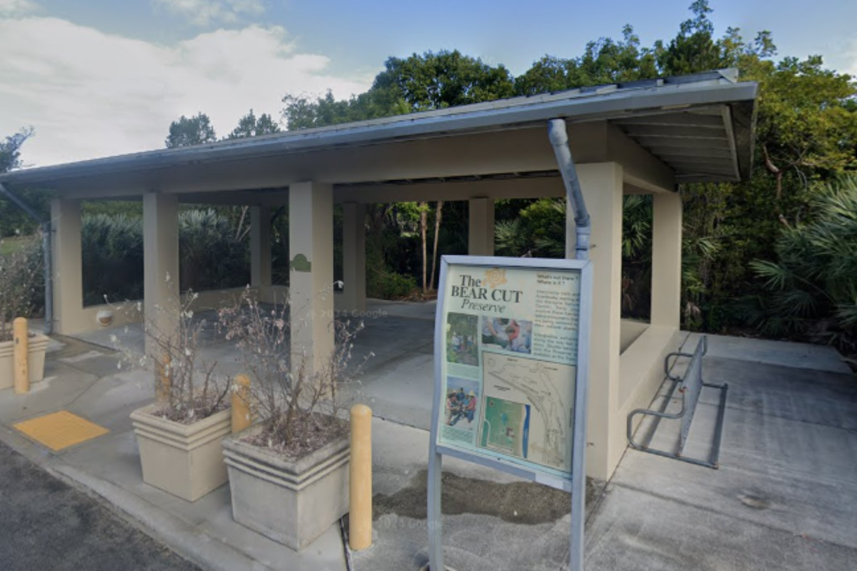 Miami Dade Parks Hosts 2nd Annual Turtlepalooza To Spotlight Sea