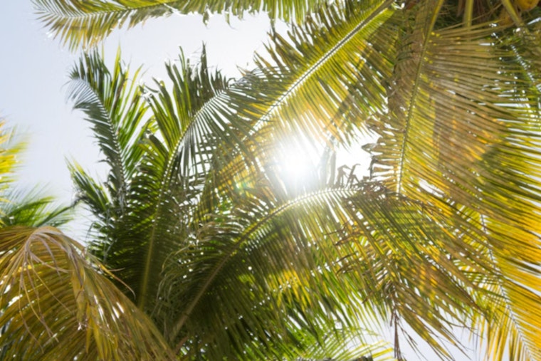 Miami on High Alert as Temperatures Soar Toward Record Highs Amidst