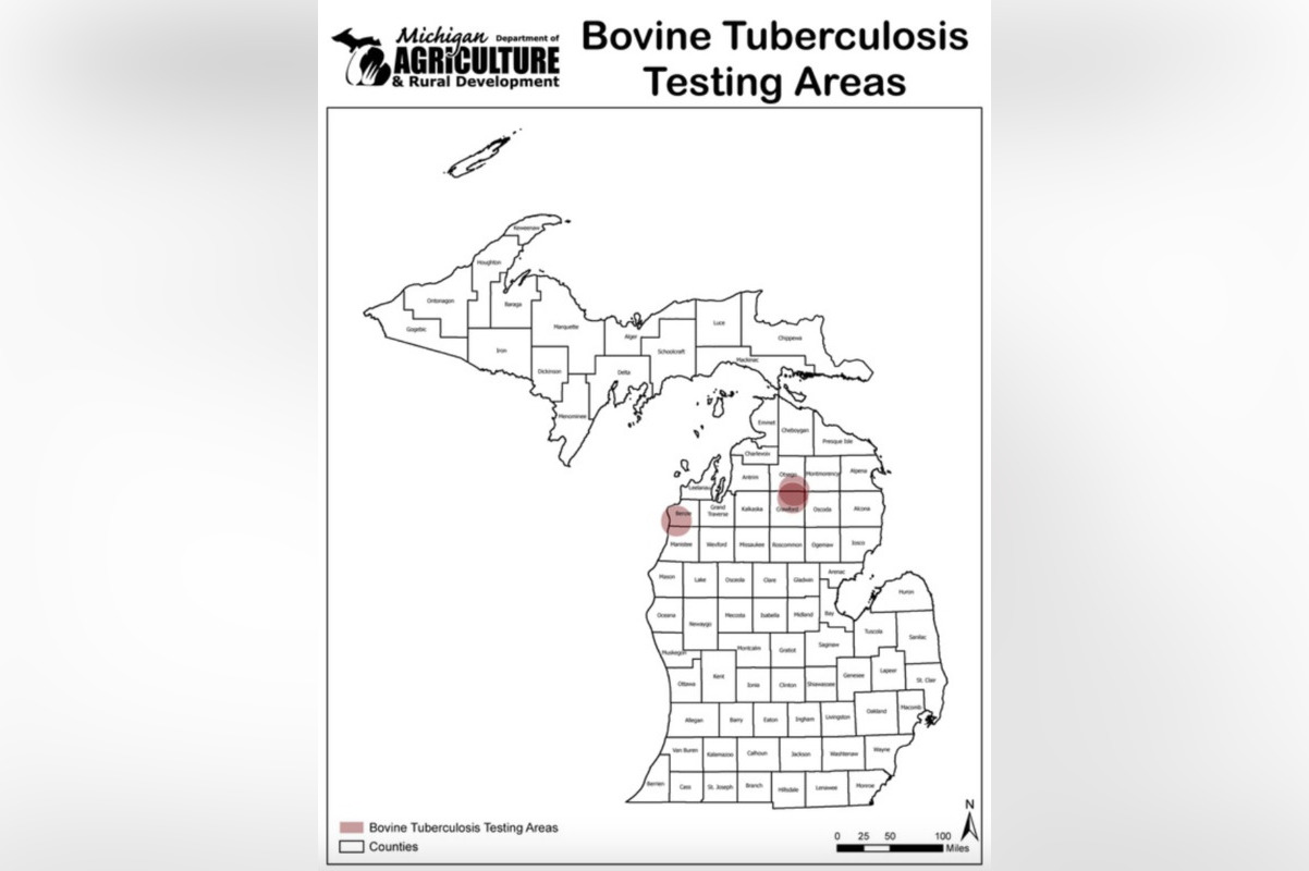 Michigan Designates New Bovine TB Testing Areas Amid Deer Outbreak to