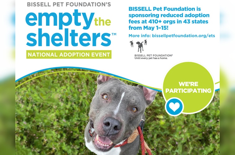 Pinal County Pets Seek Forever Homes Through BISSELL’s Fee-Free