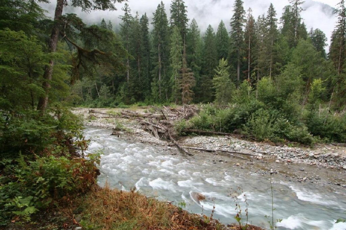 Reel Excitement as Cascade River Opens for Hatchery Spring Chinook