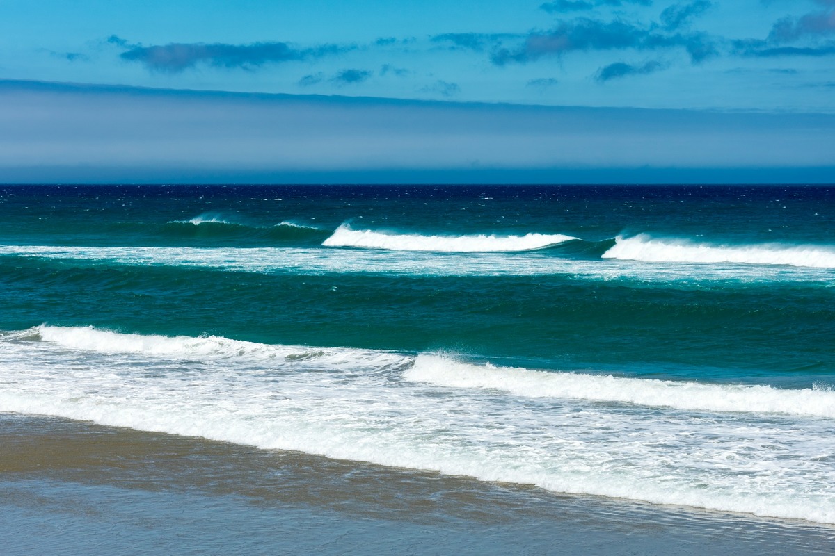 Tennessee Professor Missing in Brazil after Rogue Wave Disaster,