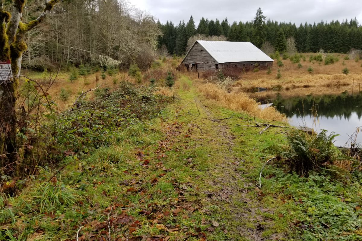 Washington Department of Fish and Wildlife Plans Removal of Talbot Dam