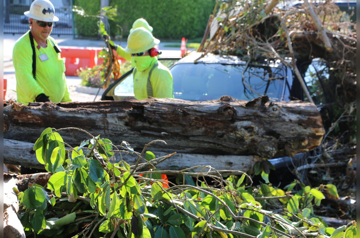 West Palm Beach to Hold Hurricane Recovery Drill as Atlantic Hurricane