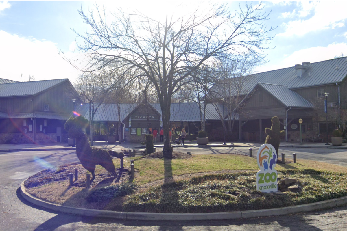 Zoo Knoxville Mourns Loss of Beloved African Elephant Tonka,