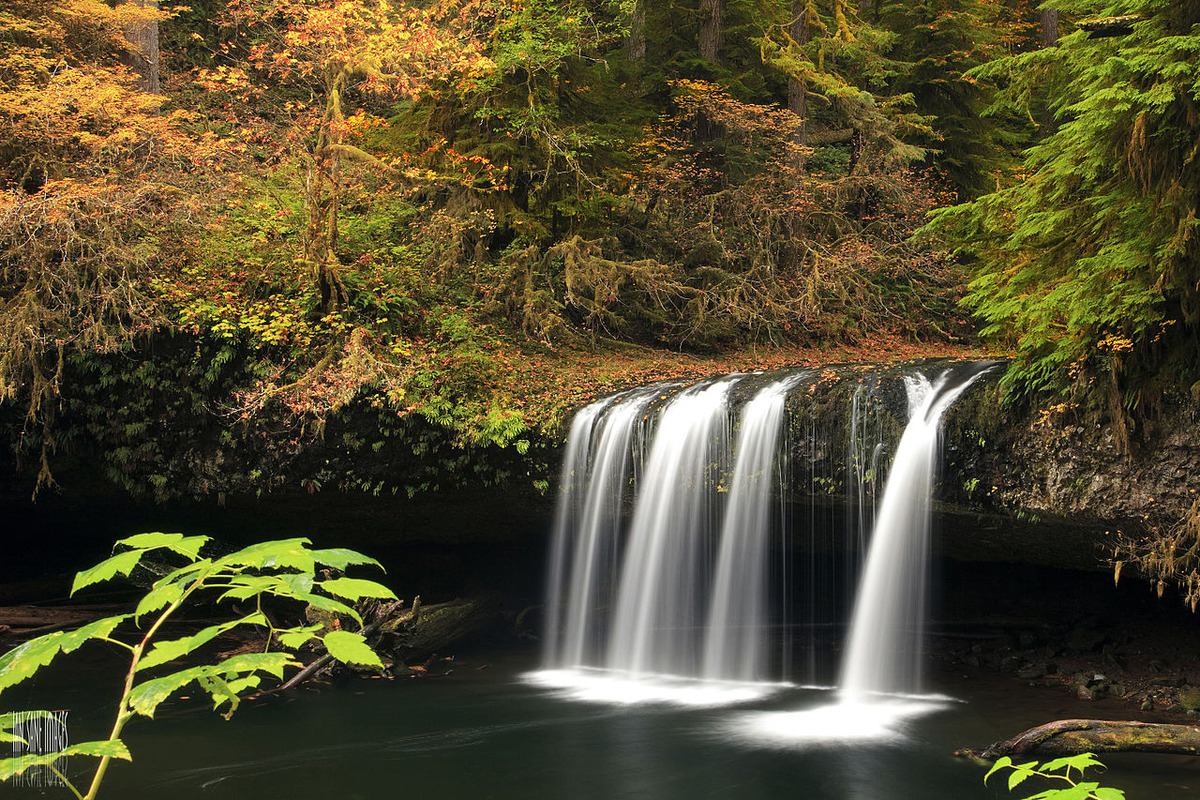 Butte Creek Falls Set to Reopen After Four-Year Closure Due to Oregon