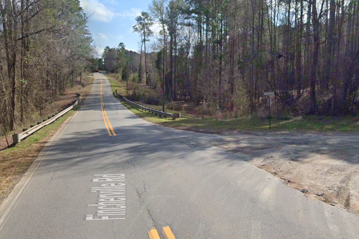 Butts County Sheriff's Office Issues Caution as Black Bear Sighted in