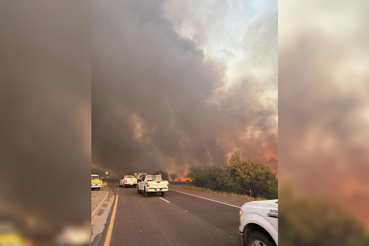 Evacuations Ordered as Rose Fire Engulfs 166 Acres and Threatens 100