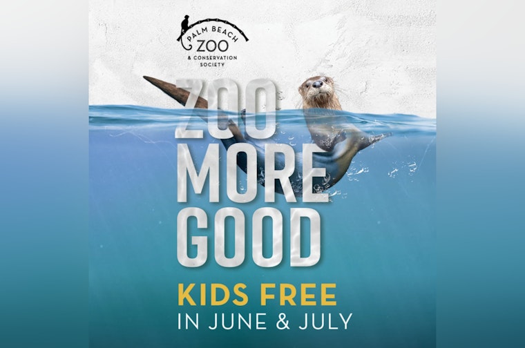 Free Summer Fun for Kids as Palm Beach Zoo Offers Complimentary