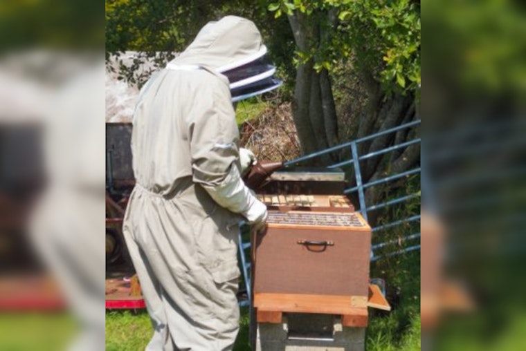 How the "Bee Bill" Transformed Texas into a Beekeeping Haven, Yielding