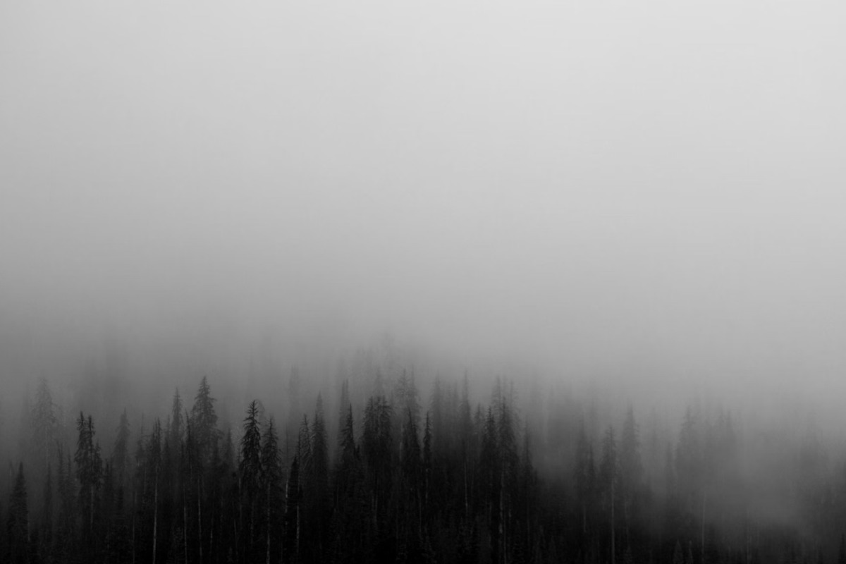 Knoxville to Warm Up After Morning Fog with a Scorching 91-Degree High