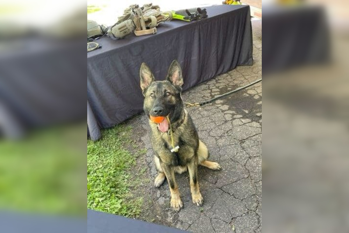 Mapleton Celebrates Community Spirit with Town and Country Days and