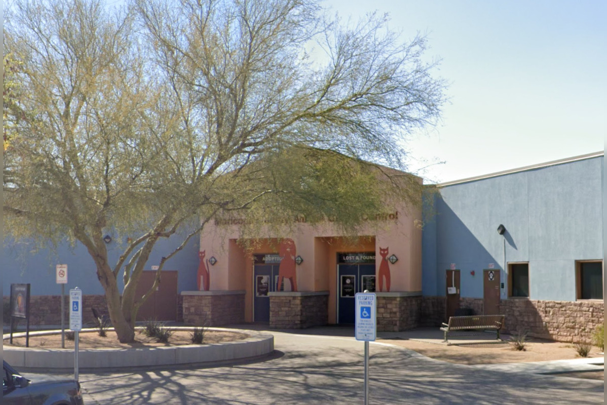 Maricopa County Animal Shelter in Phoenix Evacuated Following Bomb