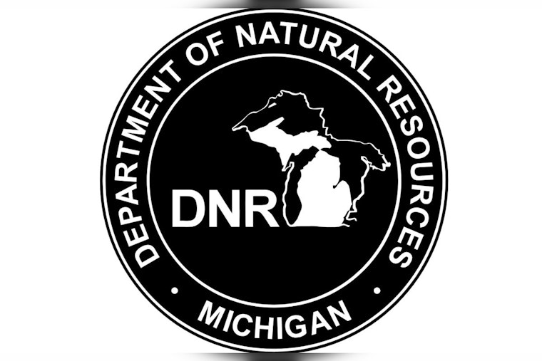 Michigan DNR Euthanizes Over 31,000 Atlantic Salmon Amid Bacterial