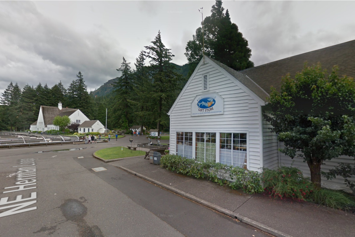 Oregon Gathers to Celebrate Herman the Sturgeon's Milestone Birthday