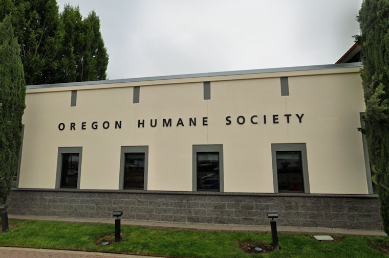 Oregon Humane Society Reopens Doors for Walk-in Pet Adoptions at