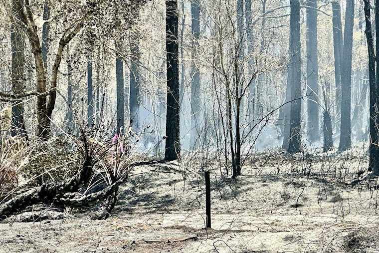 Palm City Brush Fire Fully Contained After Burning 200 Acres Near
