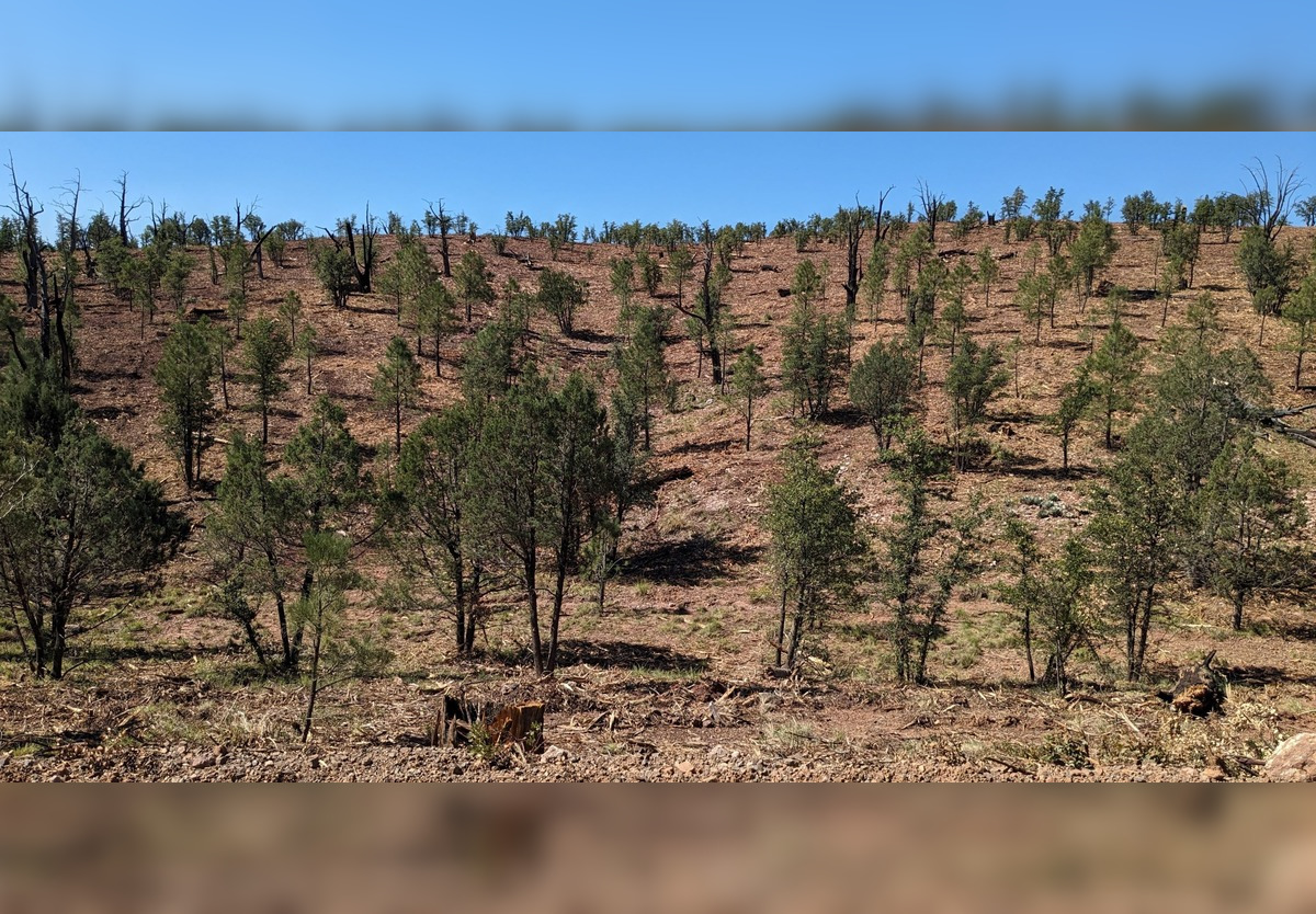 Phase 2 of Dude Fire Restoration Project Commences to Protect