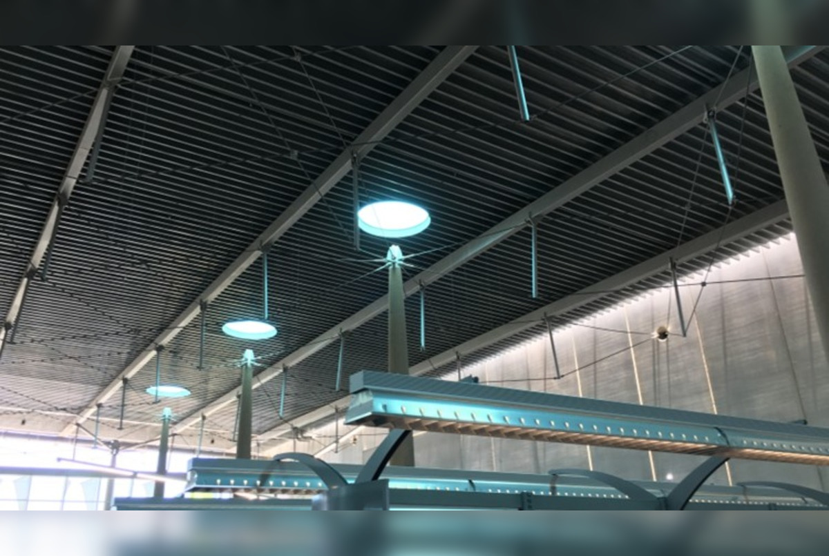 Phoenix's Burton Barr Central Library to Celebrate Summer Solstice