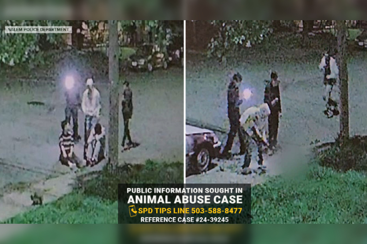 Salem Teens Charged with Aggravated Animal Abuse in Fatal Shooting of