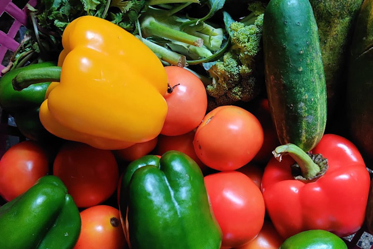 Seattle Launches Food Action Plan to Foster Equity, Sustainability,
