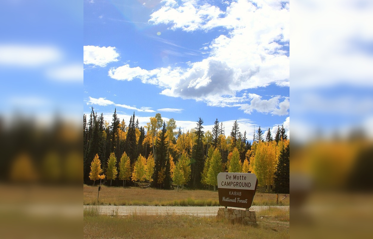 Stage 2 Fire Restrictions Imposed on Kaibab National Forest Amid