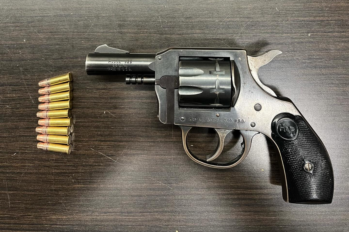 Windsor Police Apprehend Minor With Loaded Gun, Accomplice Charged