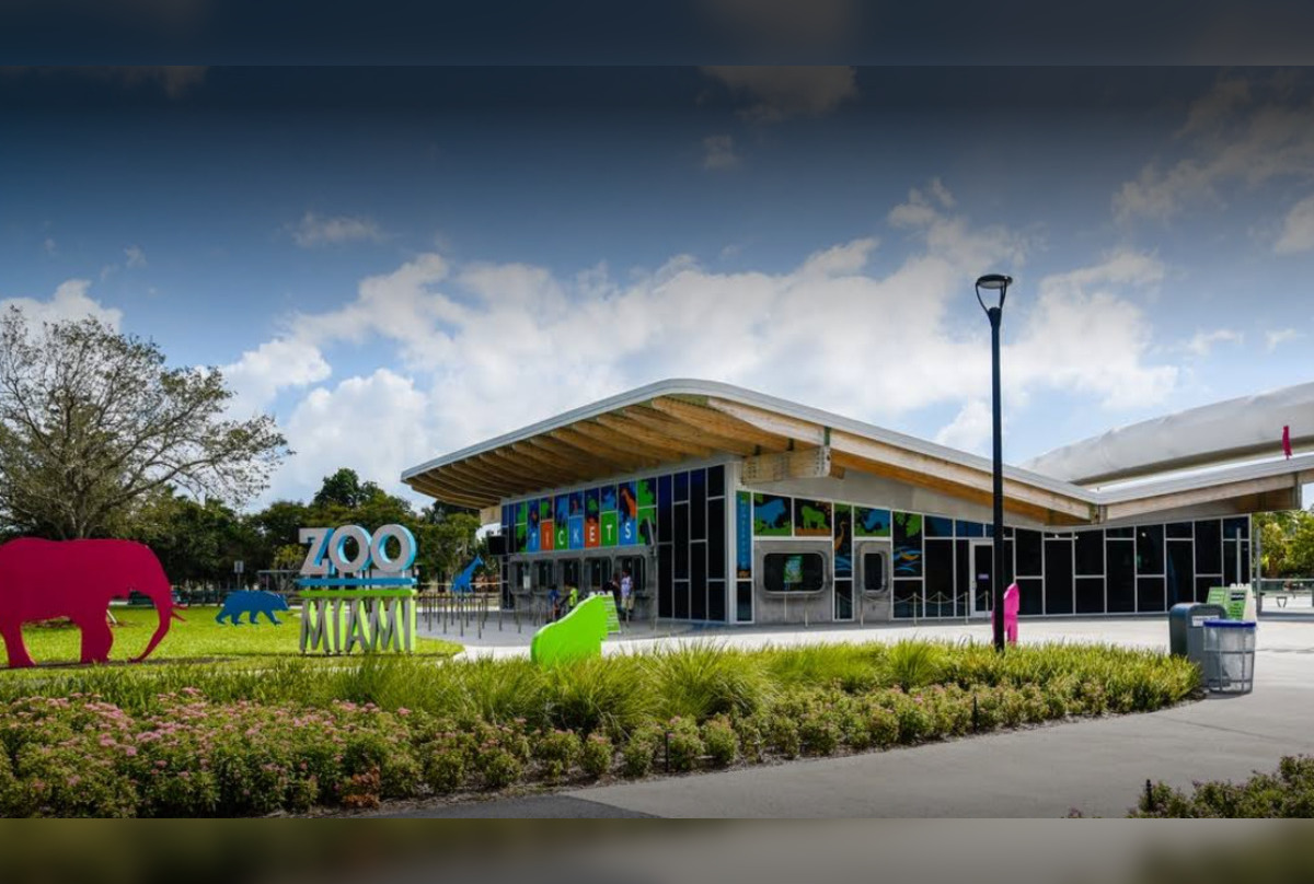 Zoo Miami Detritus: Sloth Bear Hank Fit as a Fiddle Ahead of New