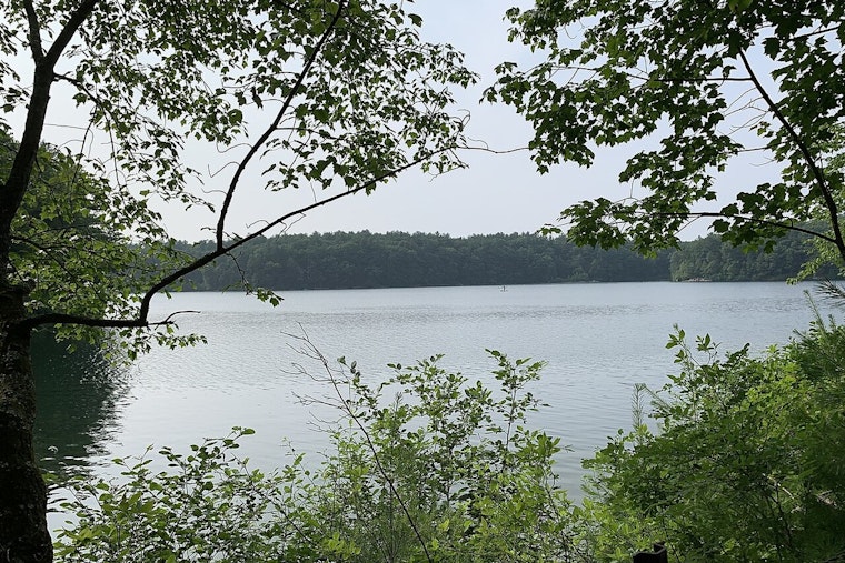 Allston Man, 62, Tragically Drowns at Walden Pond, Authorities Urge