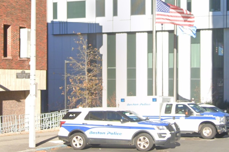 Boston Man Apprehended on Animal Cruavailability Charges After Dogs