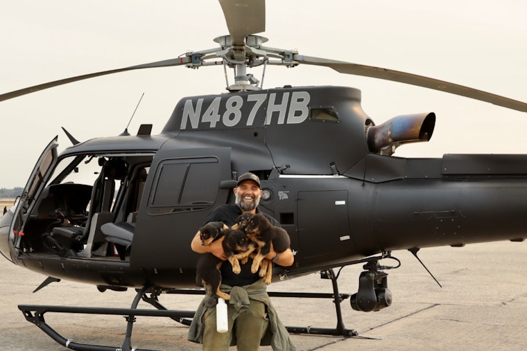 Butte County Responder Heroically Saves Rottweilers Amid Northern