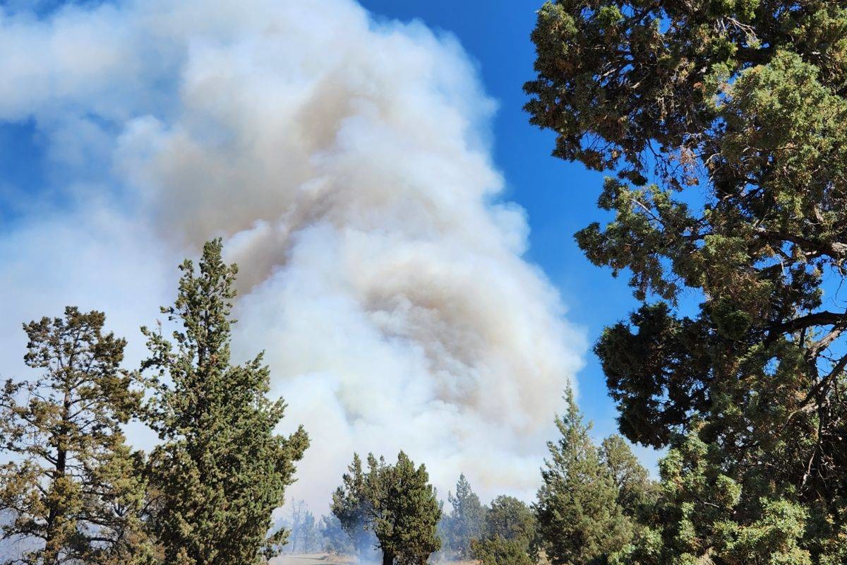 Central Oregon's McCaffery Fire Nears 500 Acres with 25% Containment,