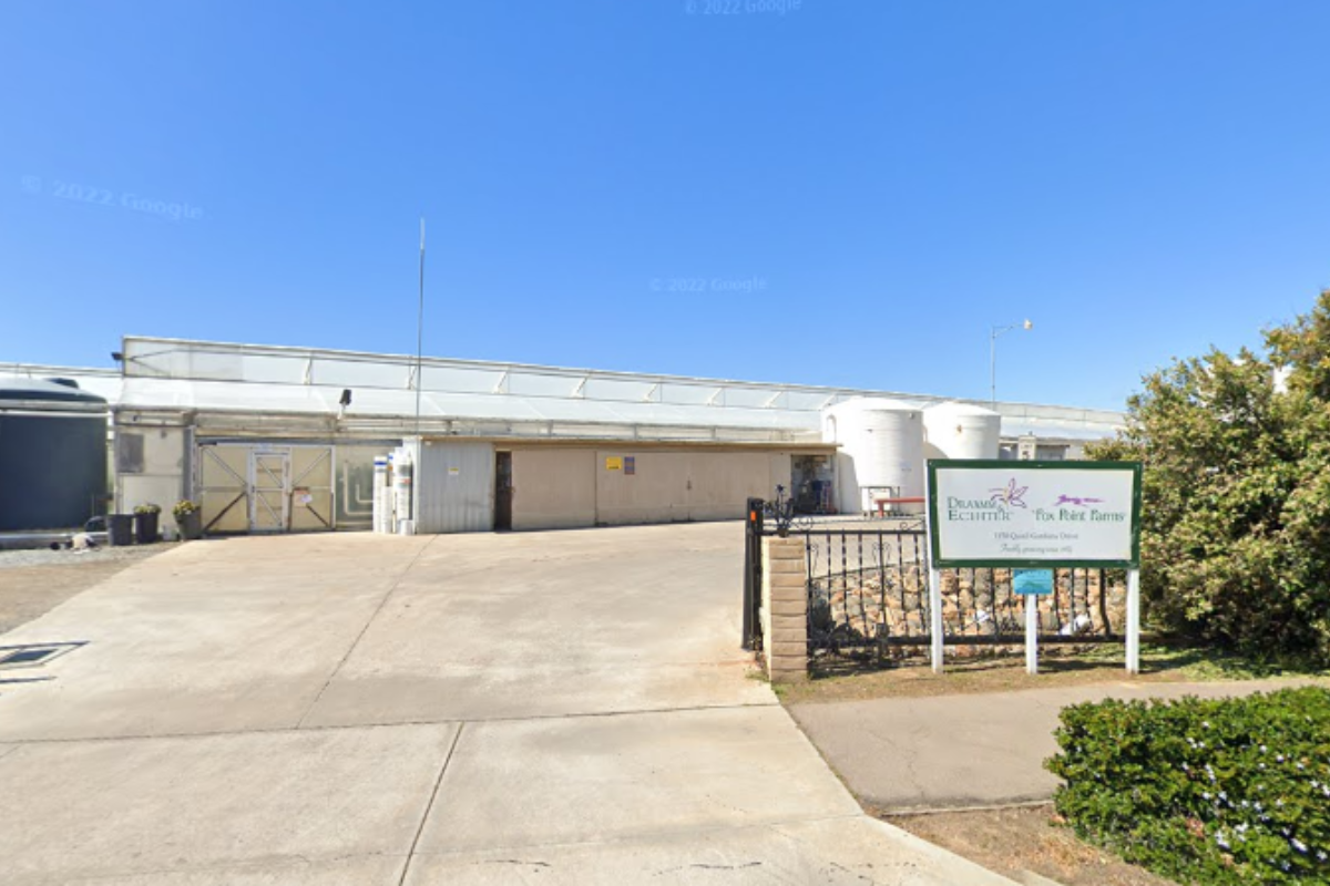 Encinitas Embraces Sustainable Living with Launch of Fox Point Farms