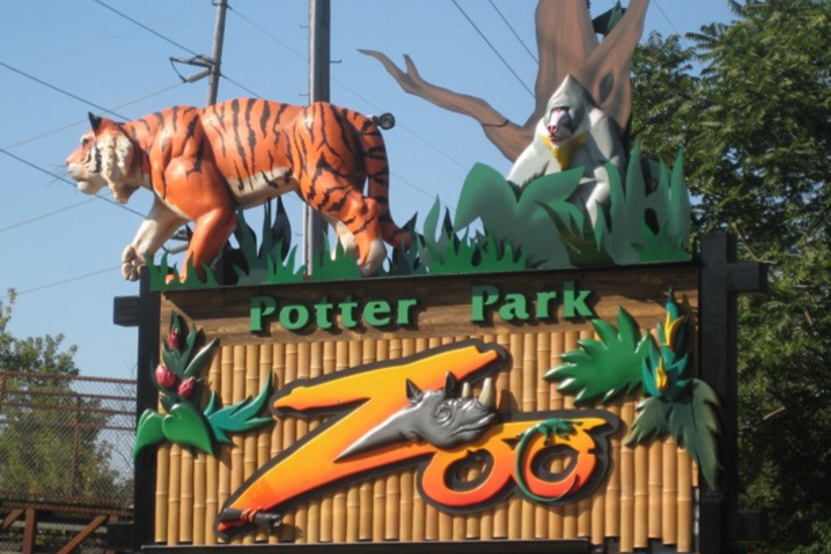 Endangered Red Panda Cub Born at Potter Park Zoo Marks Conservation